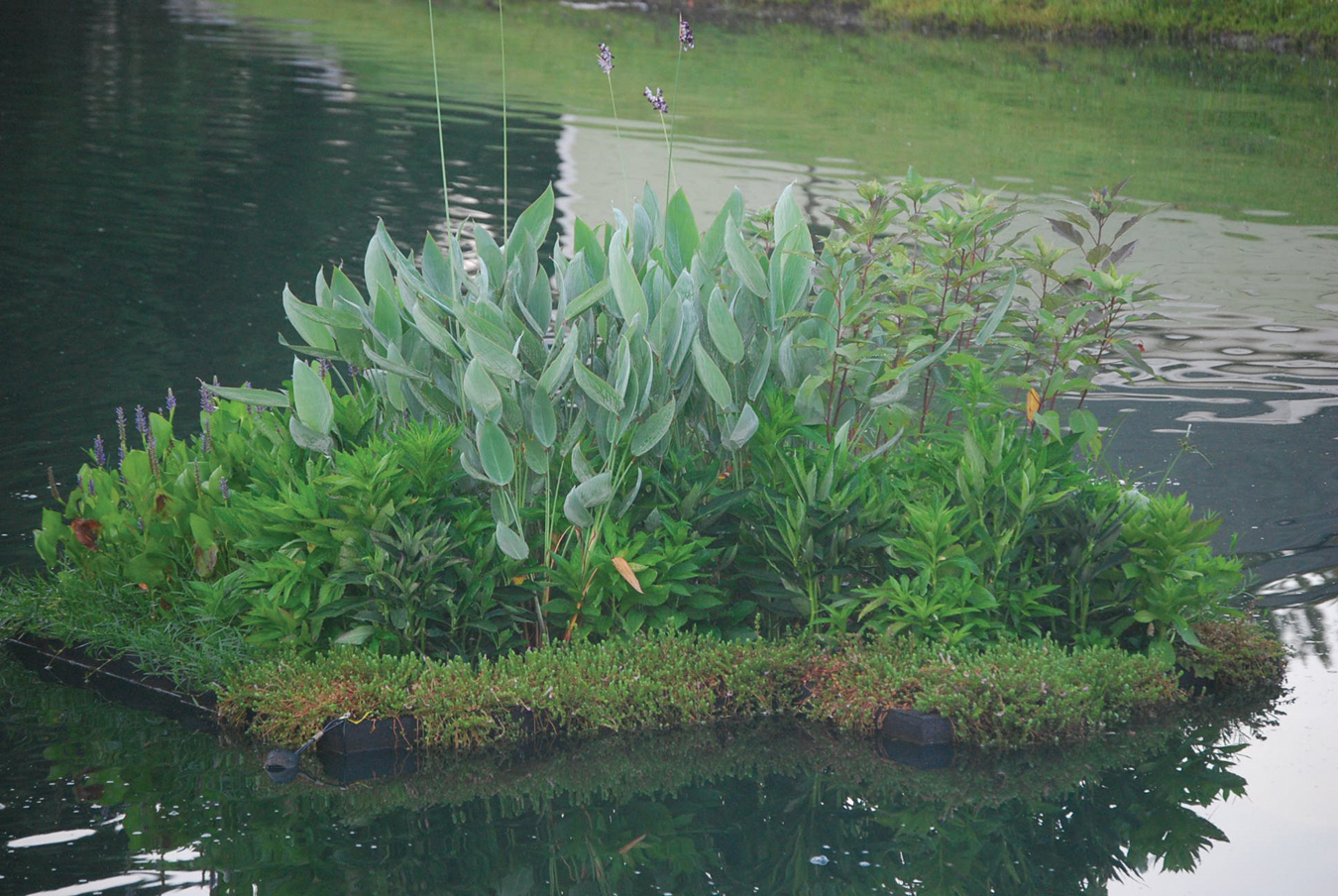 Floating Wetlands